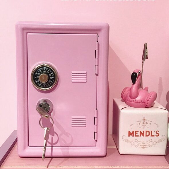 Kawaii Mini Safe Storage Cabinet - Special Edition